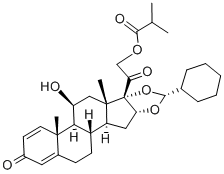 Ciclesonide CAS 126544-47-6 Watson International Limited