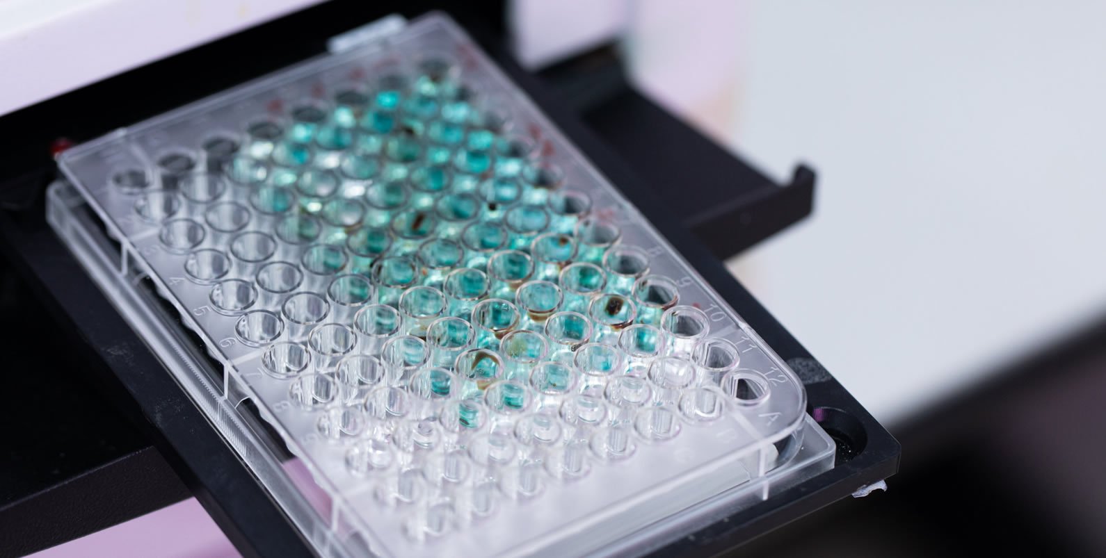 Committed to better fine chemicals - Watson International Limited