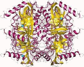 9024-82-2 Pyrophosphatase Inorganic - Watson International Ltd