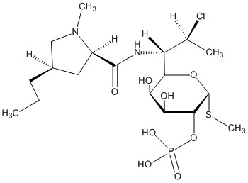 Clindamycin Phosphate α-Isomer CAS 24729-96-21006022 Watson ...