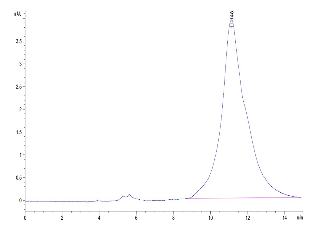 Human JAML Protein, Accession: NP_001091996 Watson International Limited