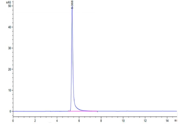 Human Integrin alpha 6 beta 1 (ITGA6&ITGB1) Heterodimer Protein ...