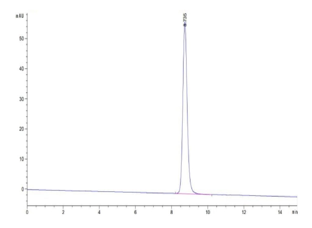 Human GP100 Intron 4 (HLA-A*24:02) Protein, Accession: AAA59600 Watson ...
