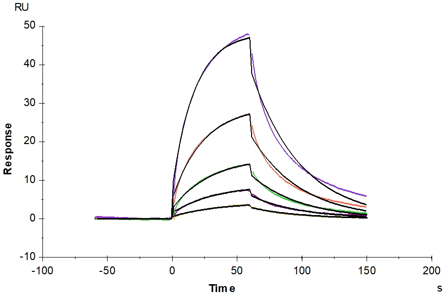 Biotinylated Mouse PD-1/PDCD1 Protein (Primary Amine Labeling ...