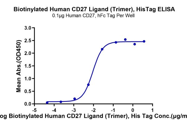 Biotinylated Human CD27 Ligand/CD70 Trimer Protein (Primary Amine ...