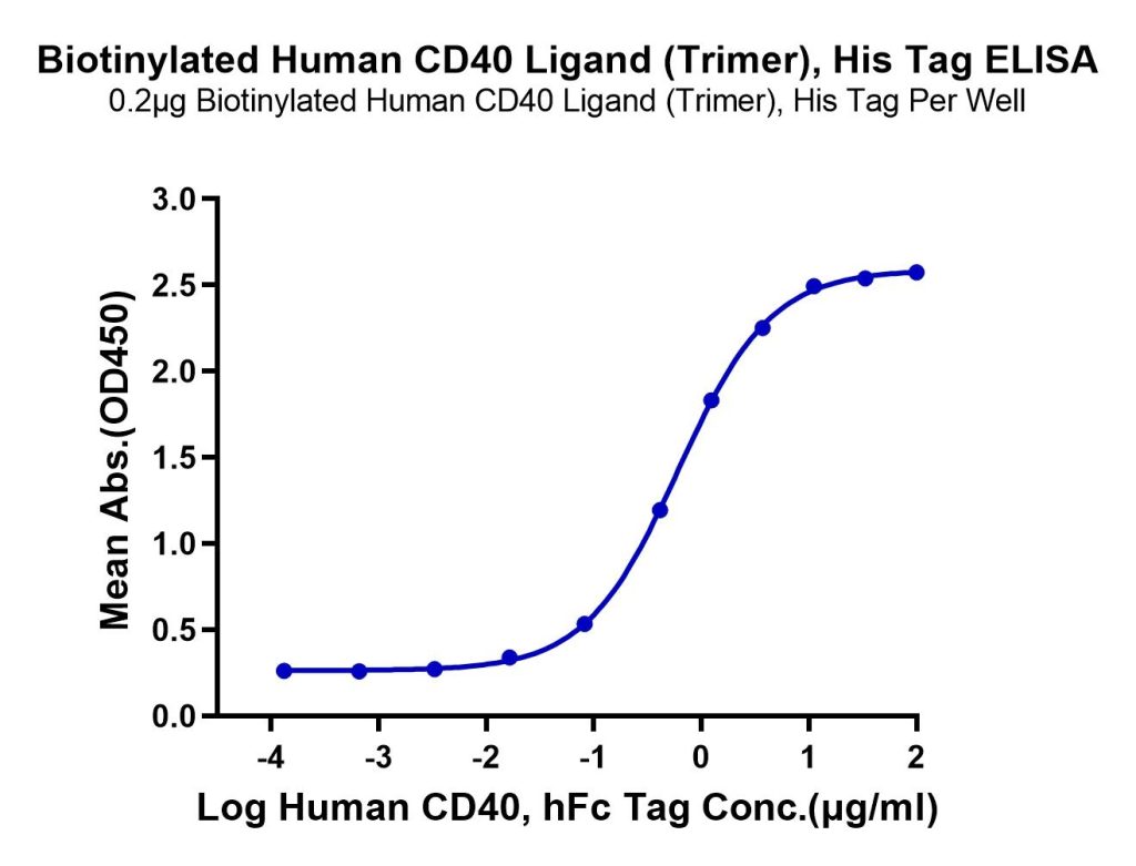 Biotinylated Human CD40 Ligand/TNFSF5 Trimer Protein (Primary Amine Labeling), Accession: P29965 ...