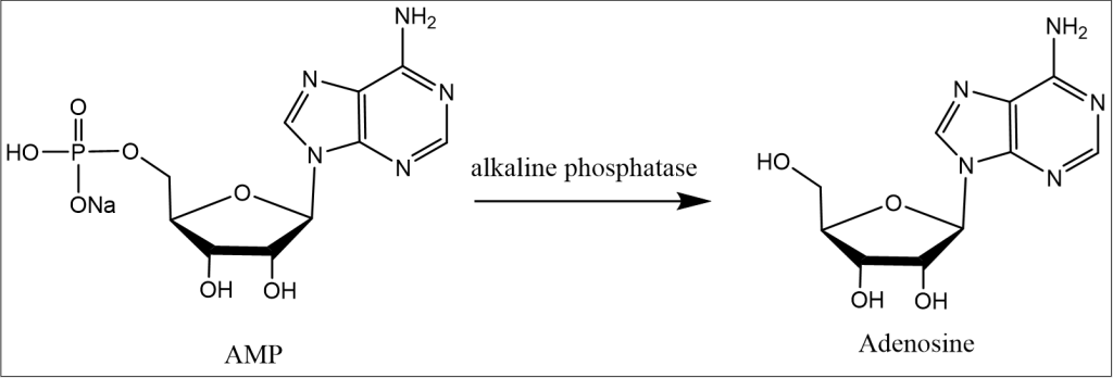 Alkaline phosphatase;Apase CAS 131-3-11 E.C.:3.1.3.1 Watson ...